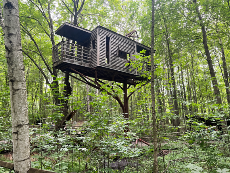 Our History - The Fowler Center